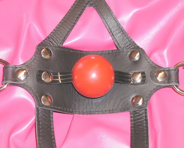 Leather Panel Gag | Top to Bottom Leathers